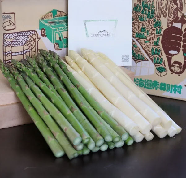 コレクション – INAZO